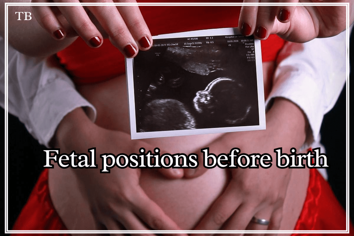 The 4 Fetal positions before birth - Total Bump